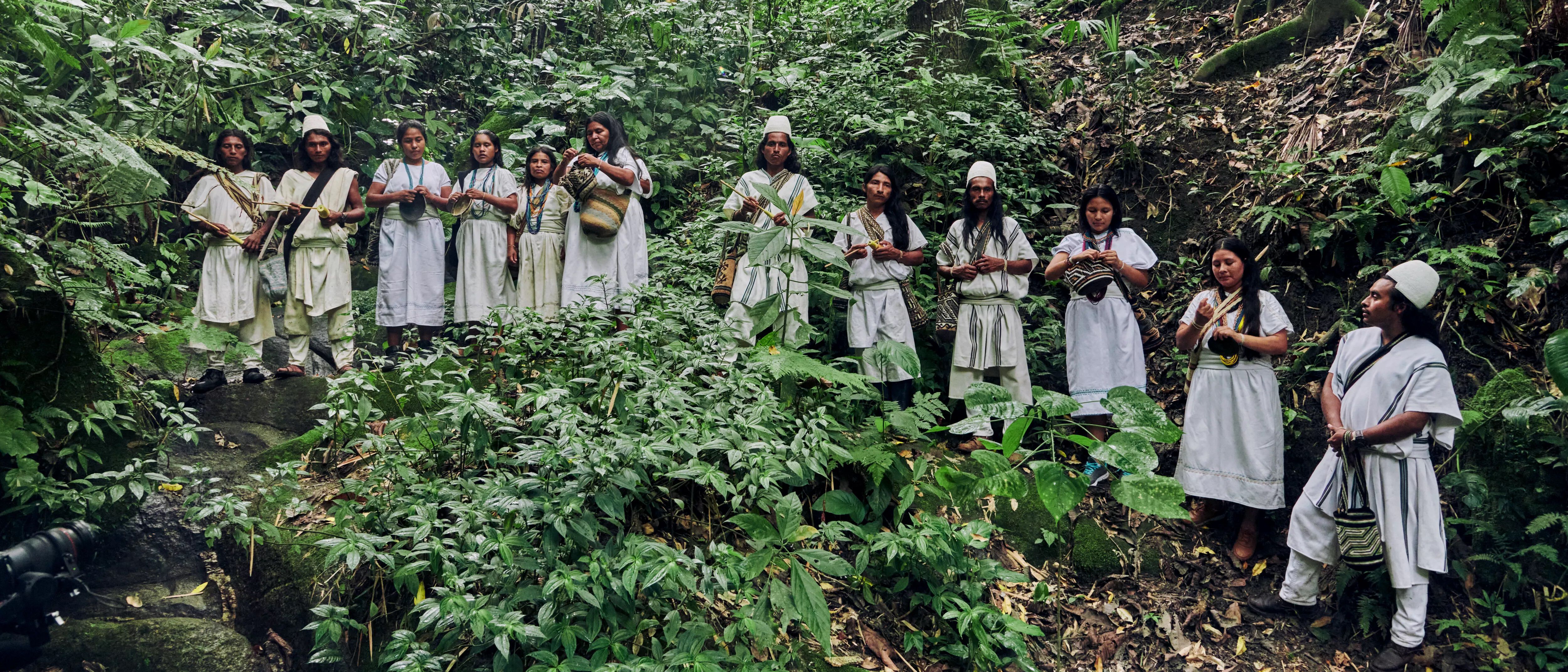 Meet the Arhuaco’s Sacred Forest | RITUALS
